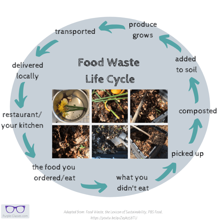 An Earth Day Post About Composting – Purple Glasses